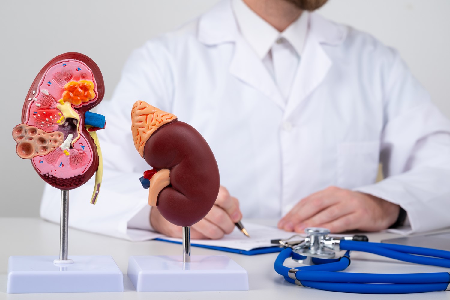 Know More About Renal Biopsy - kidneystoneurologyclinic